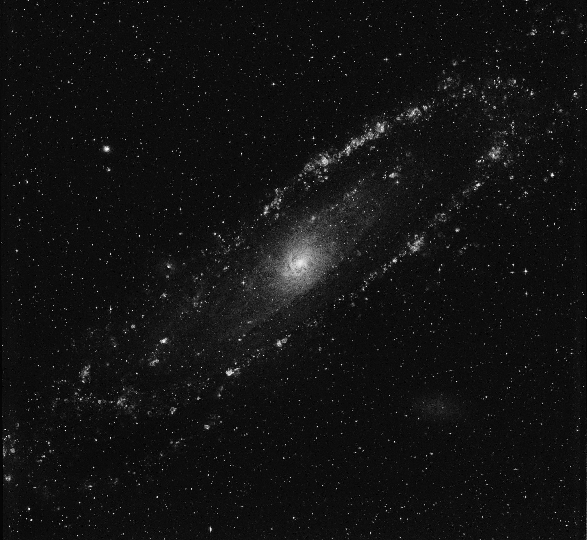 M31 the Andromeda Galaxy and its Nuclear Spiral